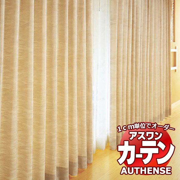 【生地のみの購入！ ※1m以上10cm単位で購入可能】 アスワン オーダーカーテン オーセンス 松風 / C1138 生地巾100cm ...